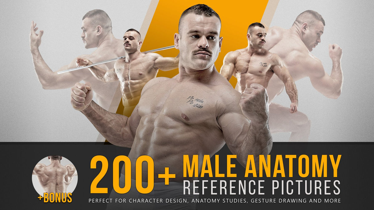 200+ Male Anatomy Reference Pictures – S3ART Store