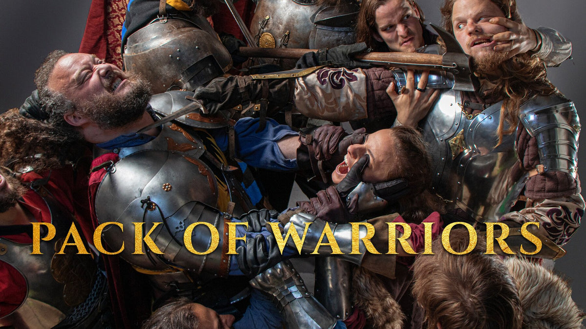 Knights & Musketeers - Warrior Photo Reference Pack | S3ART Store