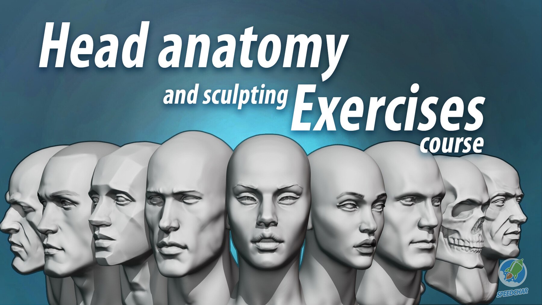 Head Anatomy and Sculpting Exercises | S3ART Store