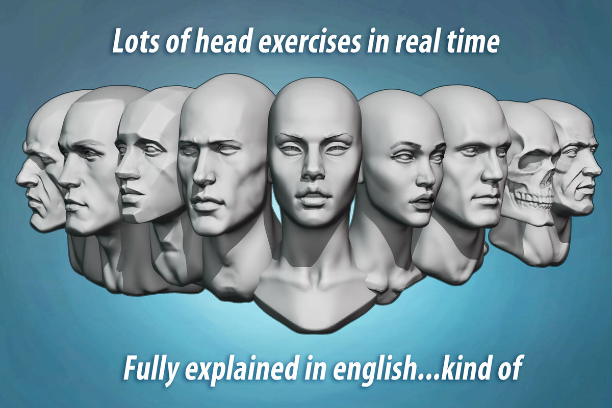 Head Anatomy and Sculpting Exercises | S3ART Store
